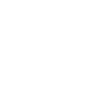 Verizon | Whitelist